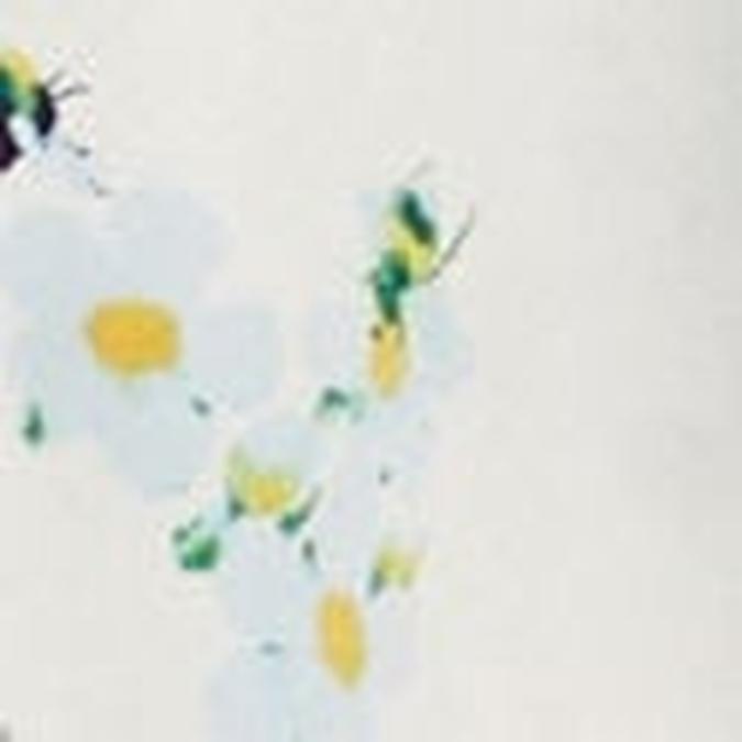 Cami Sets: Buy Cami Sets For Women Online | Victoria's Secret India