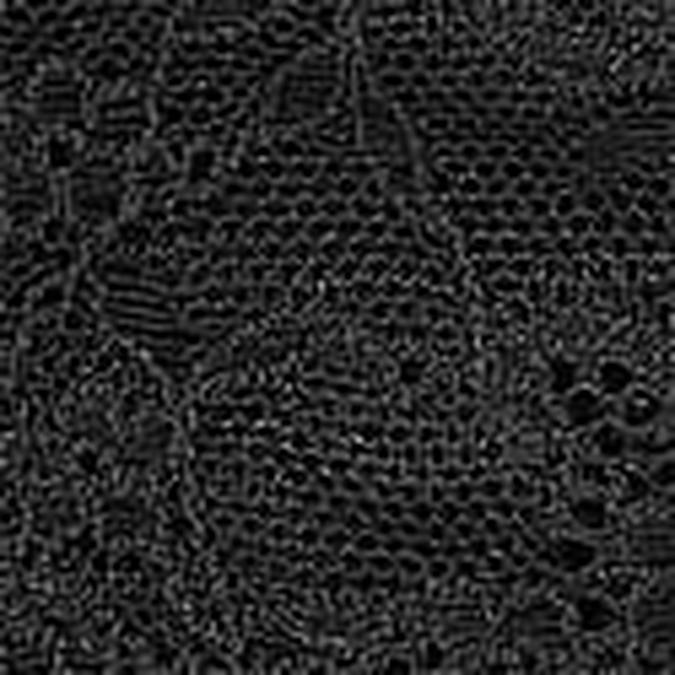 Cheekies Panties: Buy Cheekies Underwear Online | Victoria's Secret India